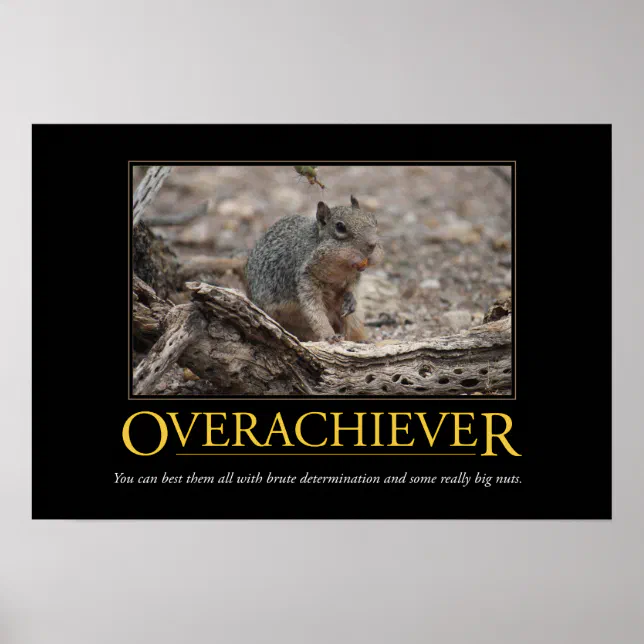 Demotivational Poster: Overachiever Poster | Zazzle