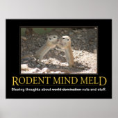Demotivational Poster: Squirrel Mind Meld Poster | Zazzle