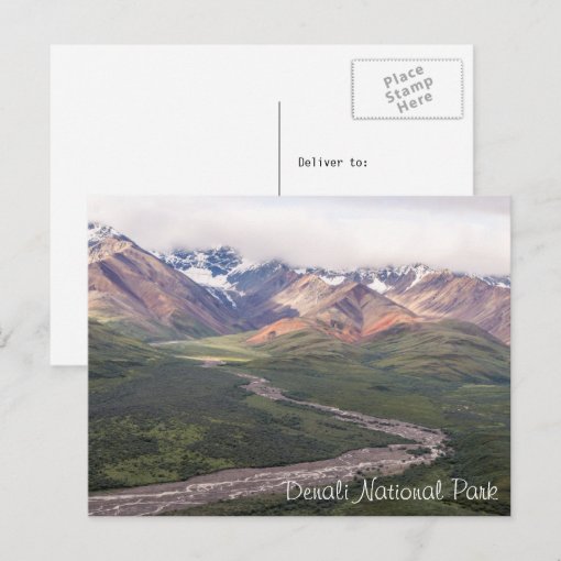 Denali National Park - Alaska | Postcard | Zazzle