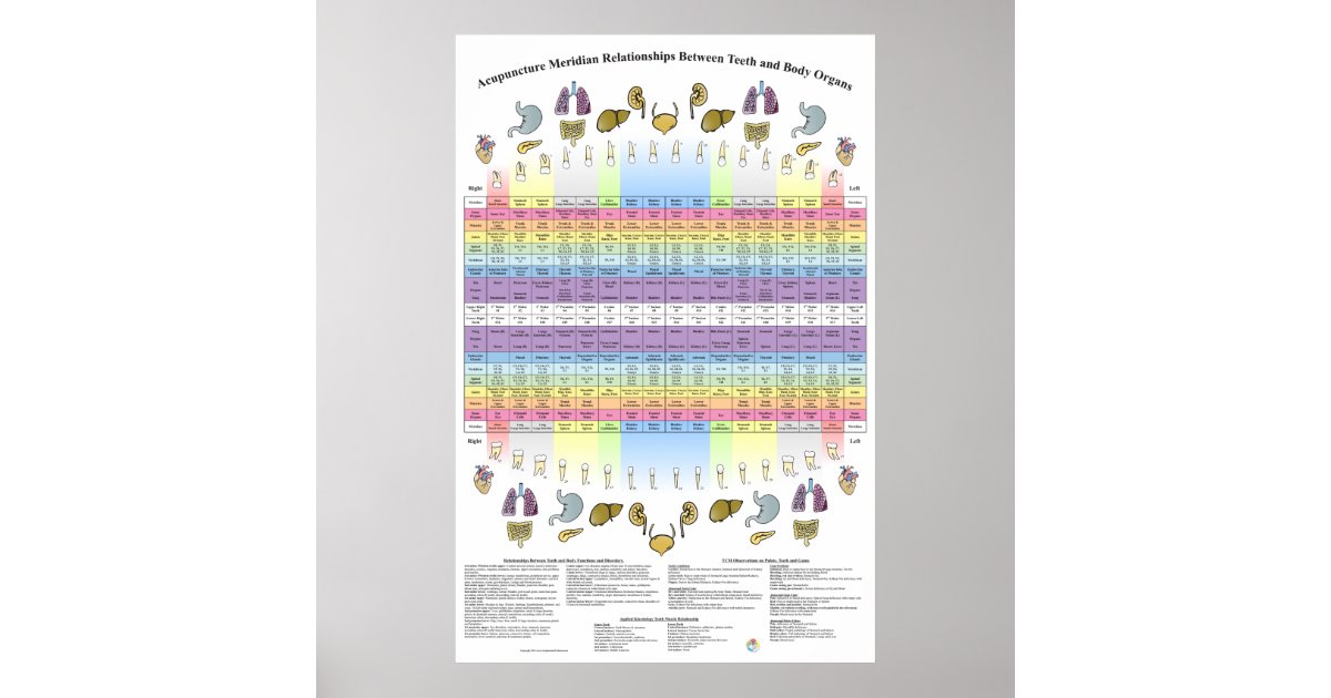 Dental Teeth Acupuncture Health Poster | Zazzle