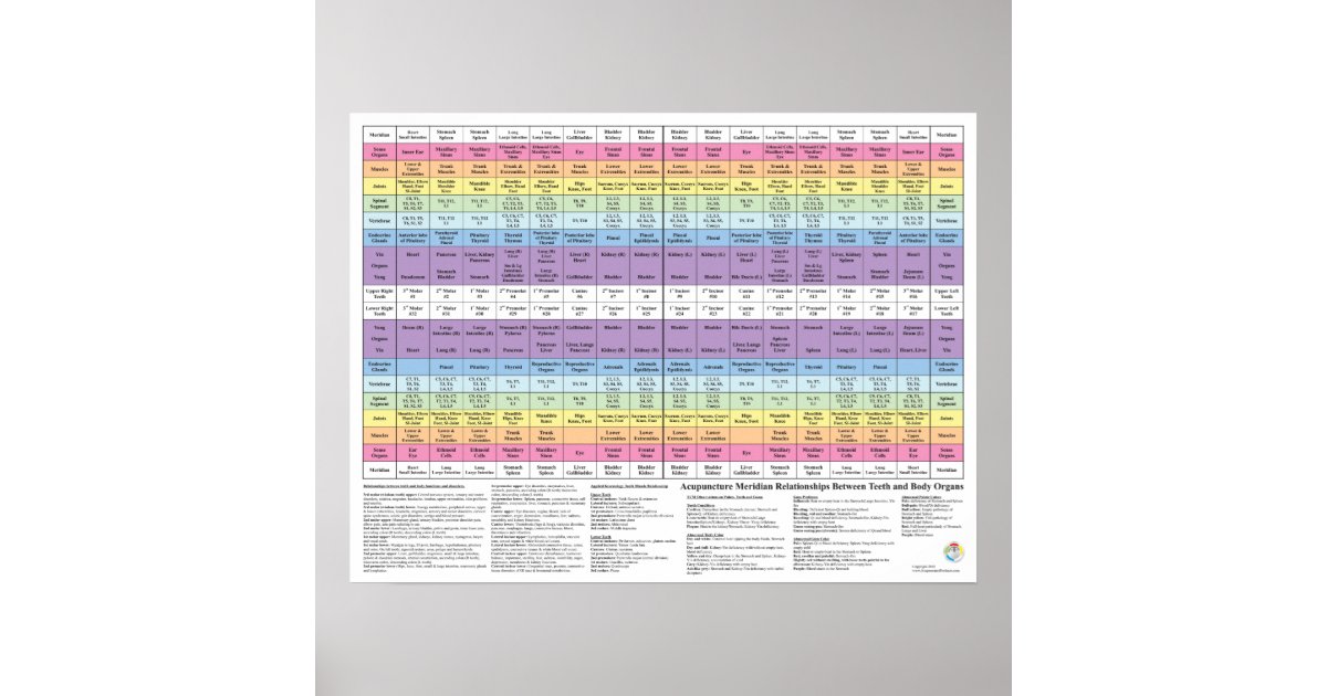 Dental Tooth Acupuncture Meridian Health Chart | Zazzle