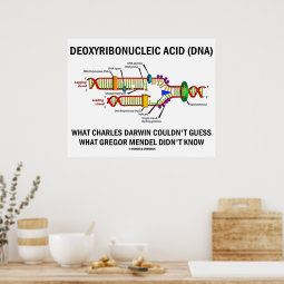 Deoxyribonucleic Acid (DNA) Darwin Mendel Saying Poster | Zazzle