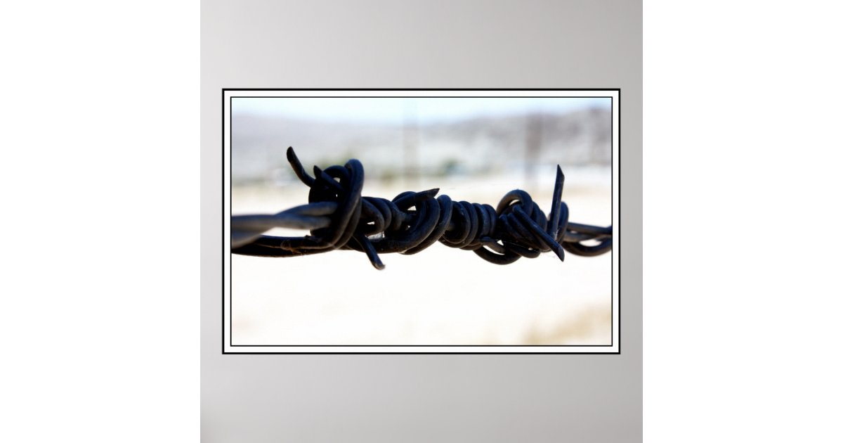 Desert Barbed Wire Poster | Zazzle