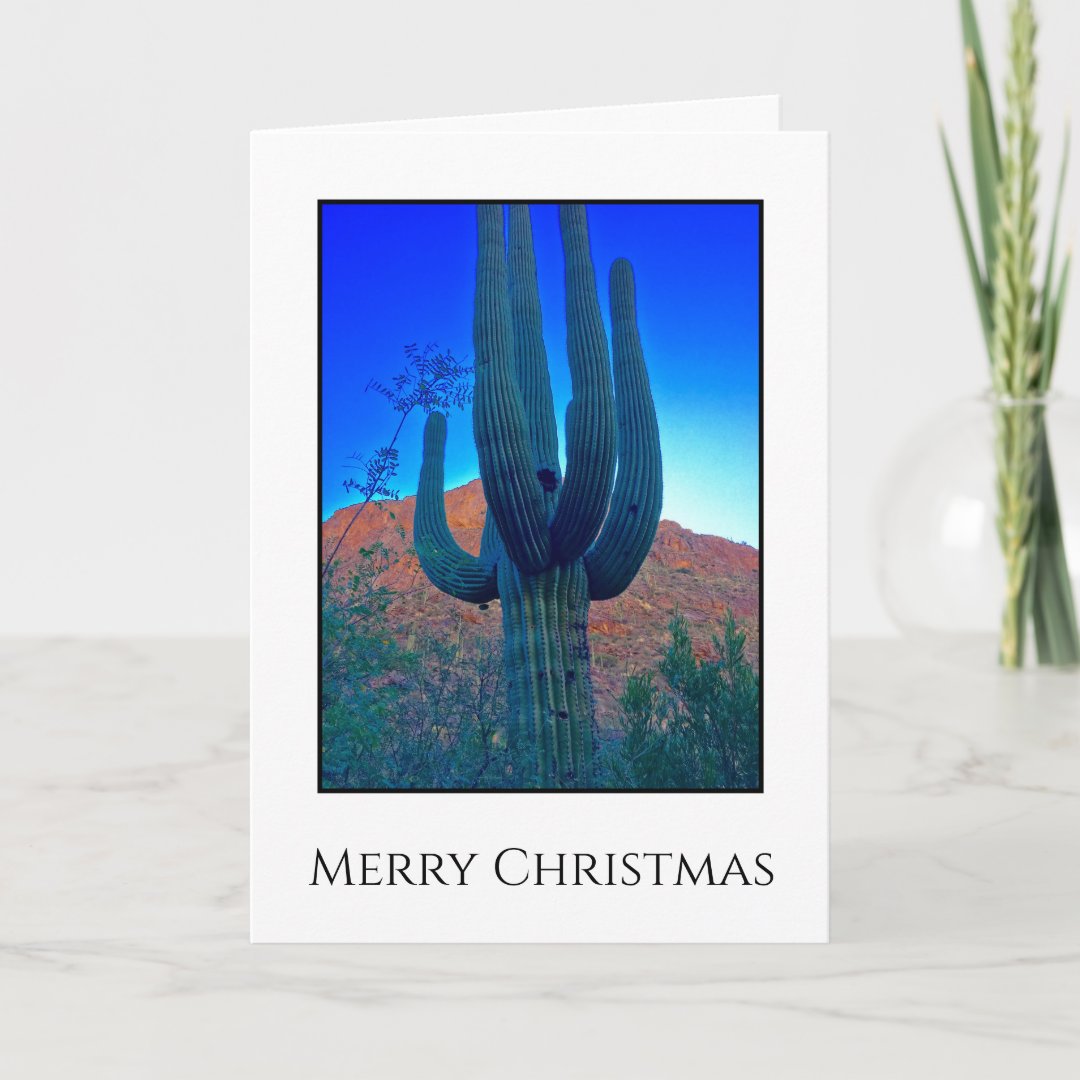 Desert Cactus Christmas Holiday Card | Zazzle