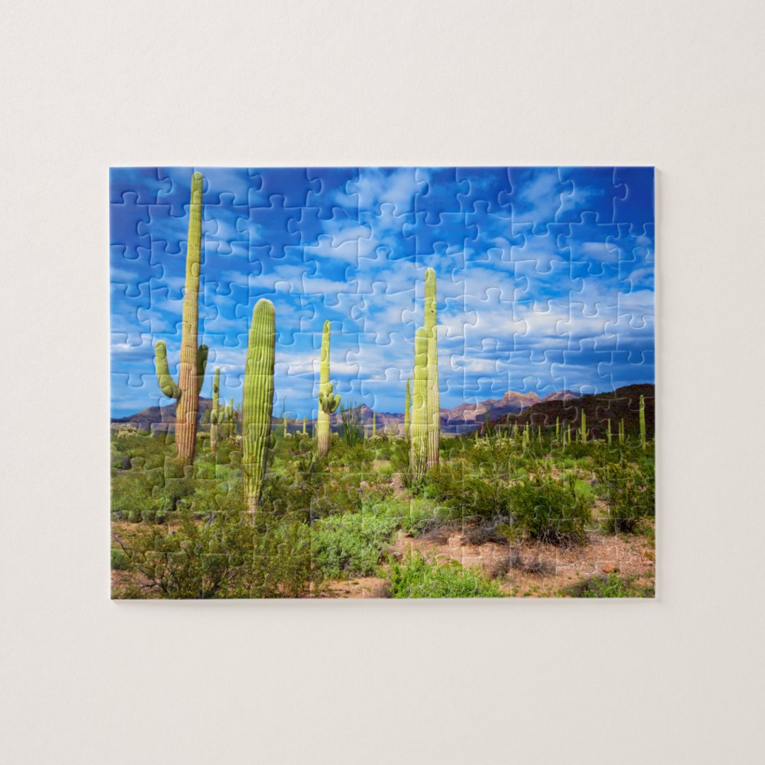 Desert cactus landscape, Arizona Jigsaw Puzzle | Zazzle