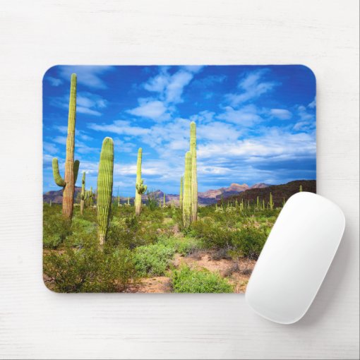 Desert cactus landscape, Arizona Mouse Pad | Zazzle