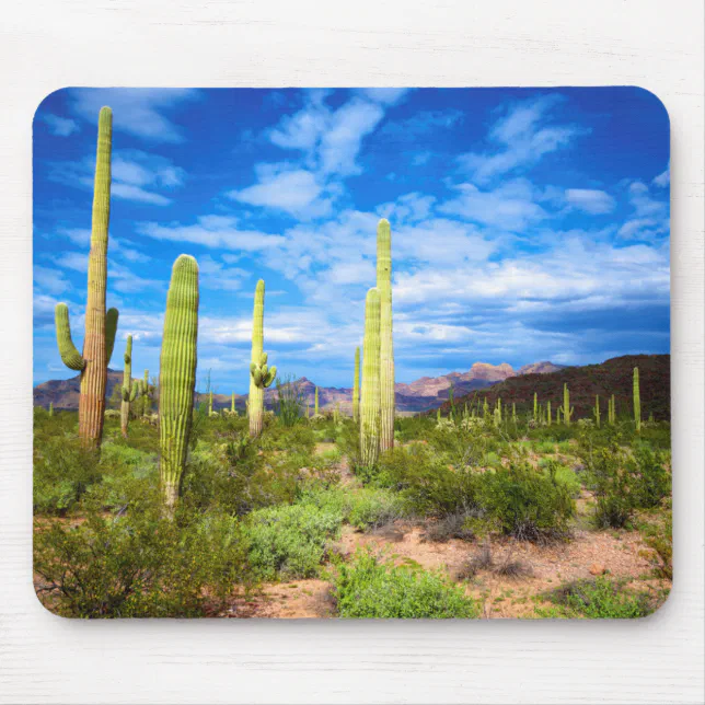 Desert cactus landscape, Arizona Mouse Pad | Zazzle
