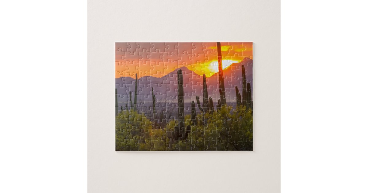 Desert cactus sunset, Arizona Jigsaw Puzzle | Zazzle