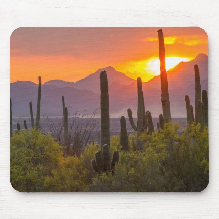 Desert cactus sunset, Arizona Mouse Pad | Zazzle
