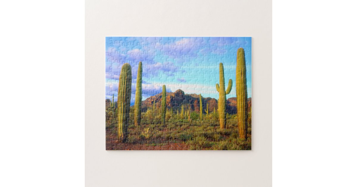 Desert in springtime jigsaw puzzle | Zazzle