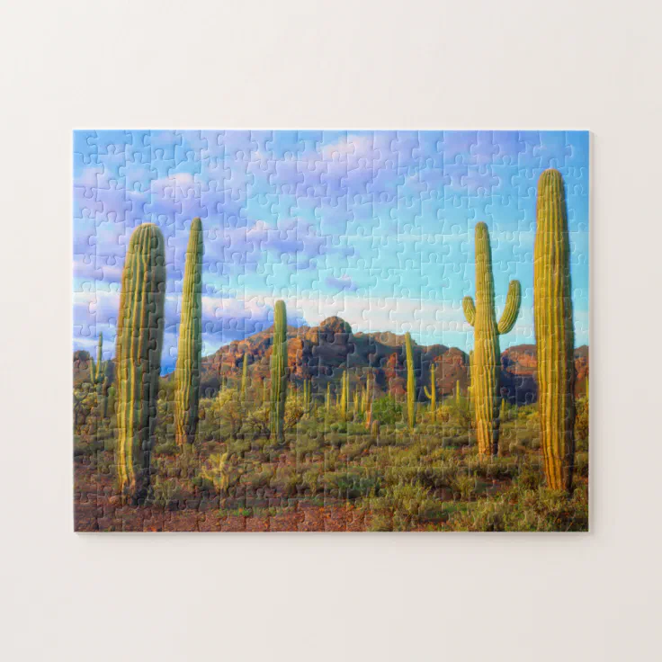 Desert in springtime jigsaw puzzle | Zazzle