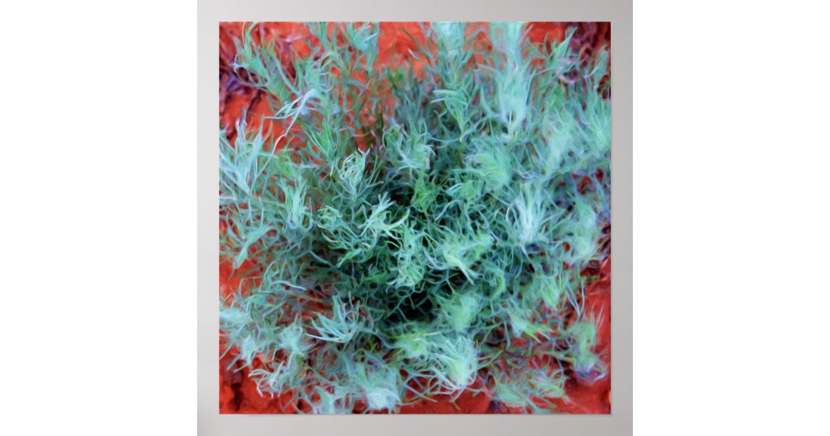 Desert Sage Poster | Zazzle