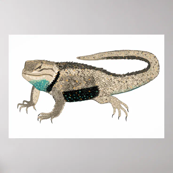 Desert Spiny Lizard Art Reptile Animal Nature Poster | Zazzle