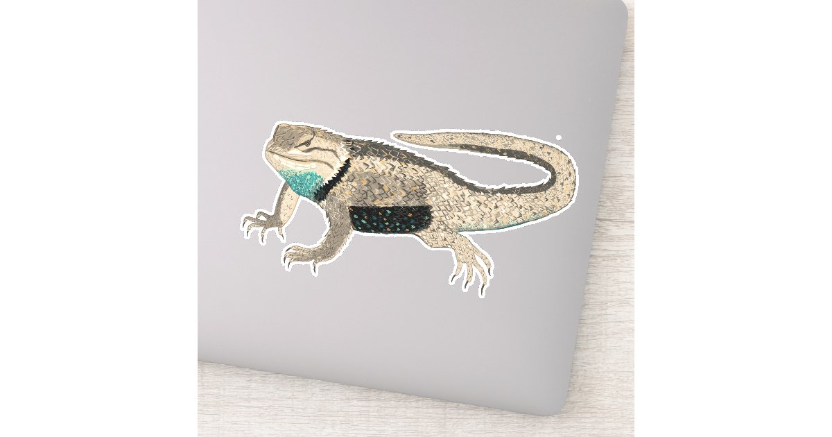 Desert Spiny Lizard Colored Pencil Nature Art Sticker | Zazzle