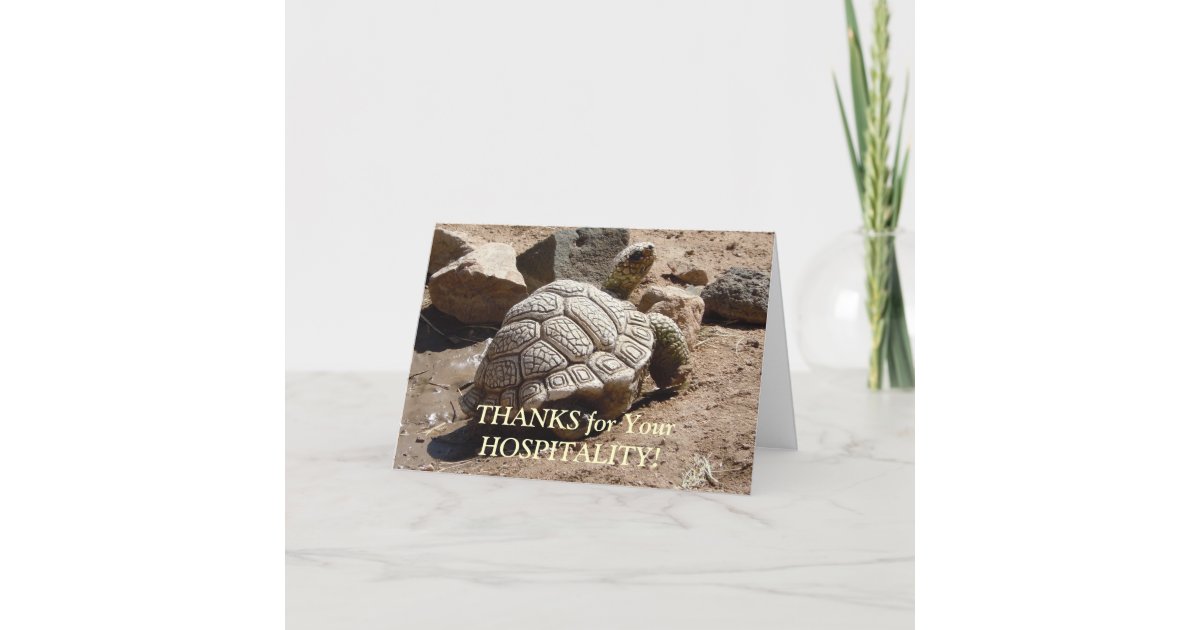 Desert Tortoise - Hospitality Thank You | Zazzle