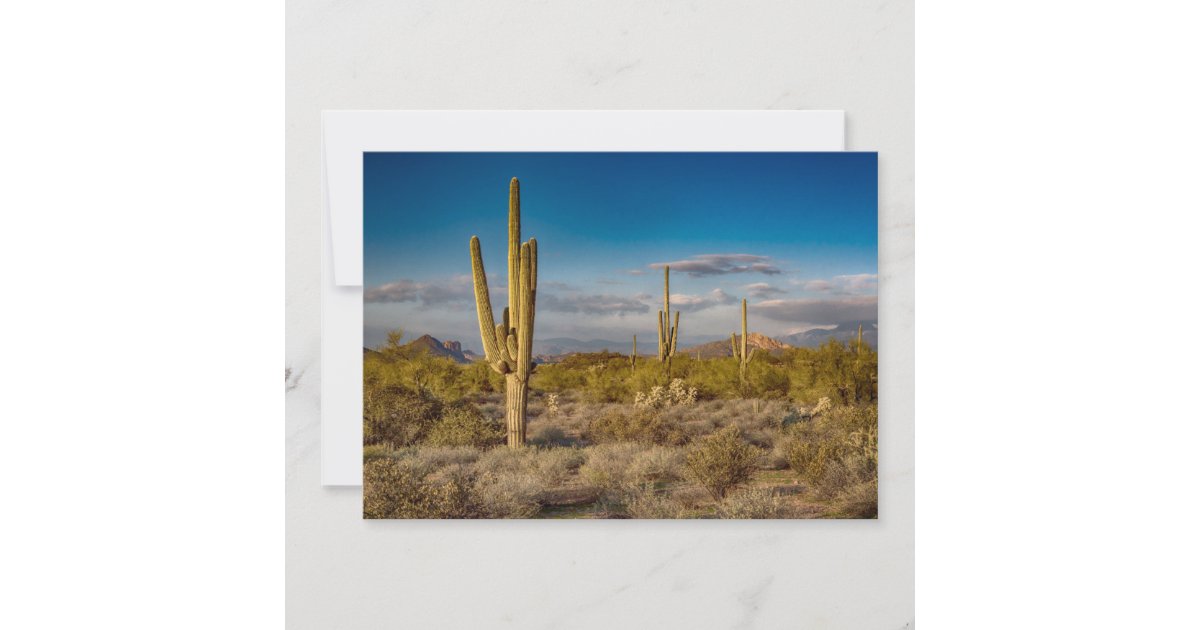 Deserts | Superstition Mountains, Arizona Thank You Card | Zazzle