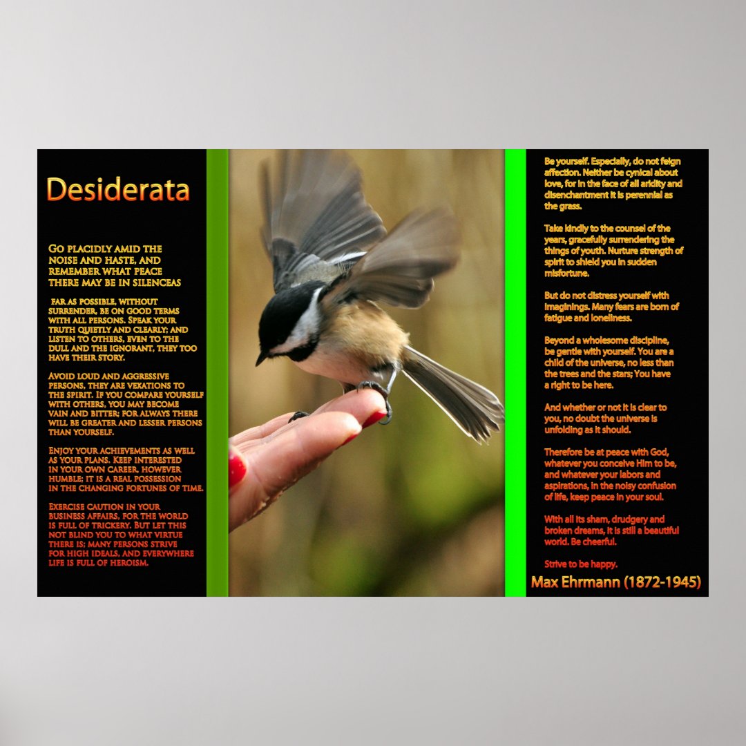 DESIDERATA Flying Sparrow Posters | Zazzle