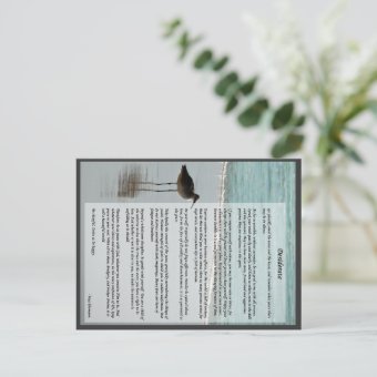 Desiderata Poem - Seagull on the Beach Scene Postcard | Zazzle