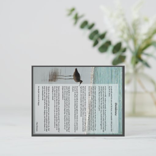 Desiderata Poem - Seagull on the Beach Scene Postcard | Zazzle