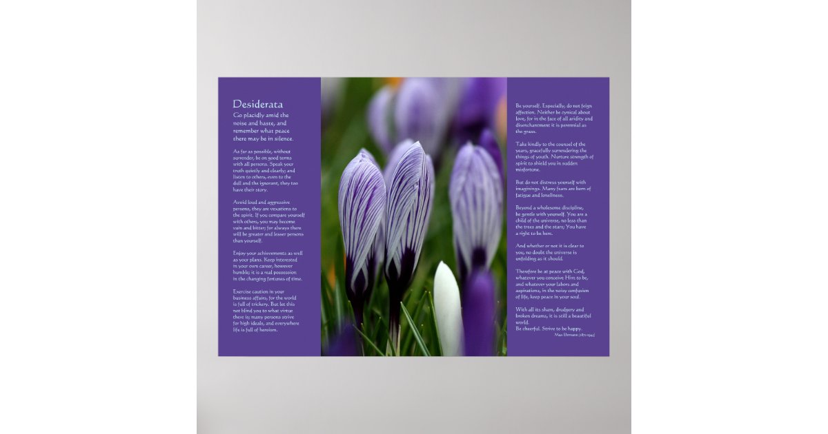 Desiderata Poem - Variegated Spring Crocuses Poster | Zazzle