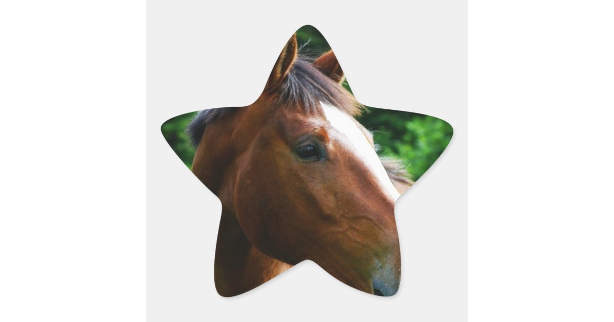 Design your own Custom Photo Stickers Star Shape | Zazzle