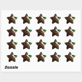 Design your own Custom Photo Stickers Star Shape | Zazzle