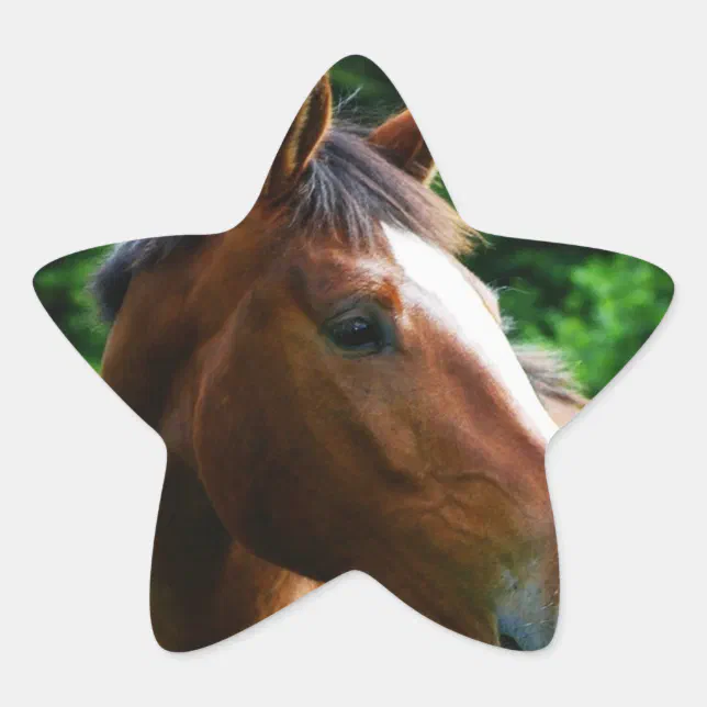Design your own Custom Photo Stickers Star Shape | Zazzle