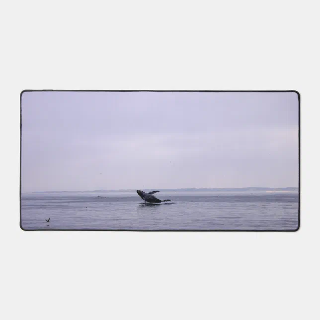 Desk Mats with A Humpback Whale Breaching | Zazzle