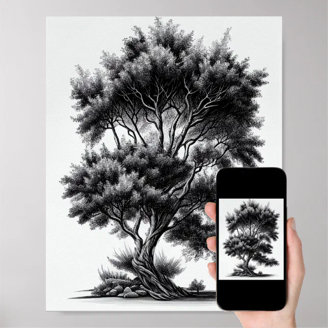 Detailed Black And White Tree Sketch Poster | Zazzle