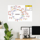 Detailed Diagram of the Citric Acid Cycle Poster | Zazzle