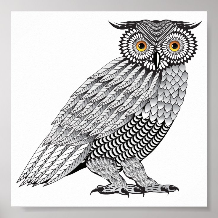 Detailed Owl illustration, vector line art Poster | Zazzle