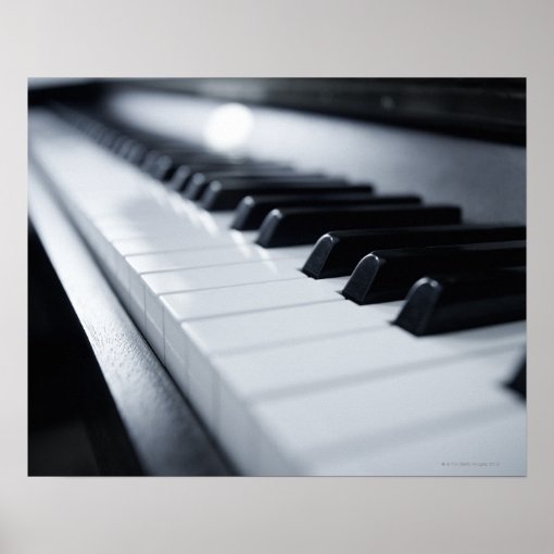 Detailed Piano Keys Poster | Zazzle