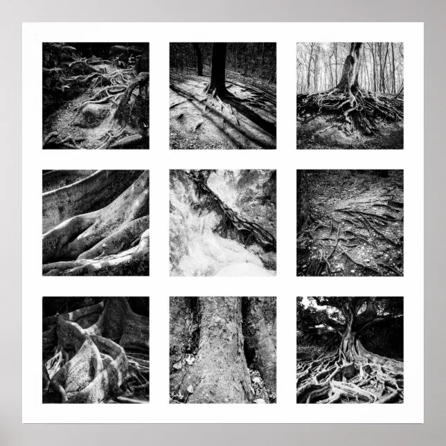 Details of Nature series - Roots poster | Zazzle