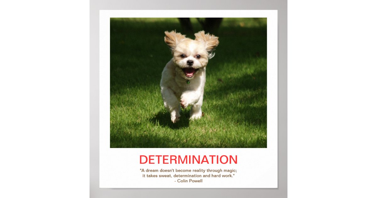 DETERMINATION demotivational poster | Zazzle