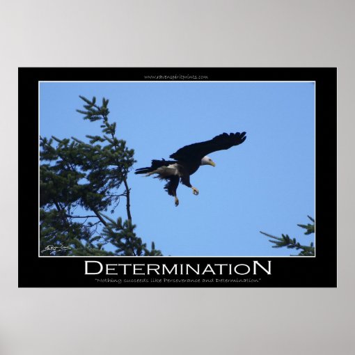 DETERMINATION ~ Motivational Poster | Zazzle