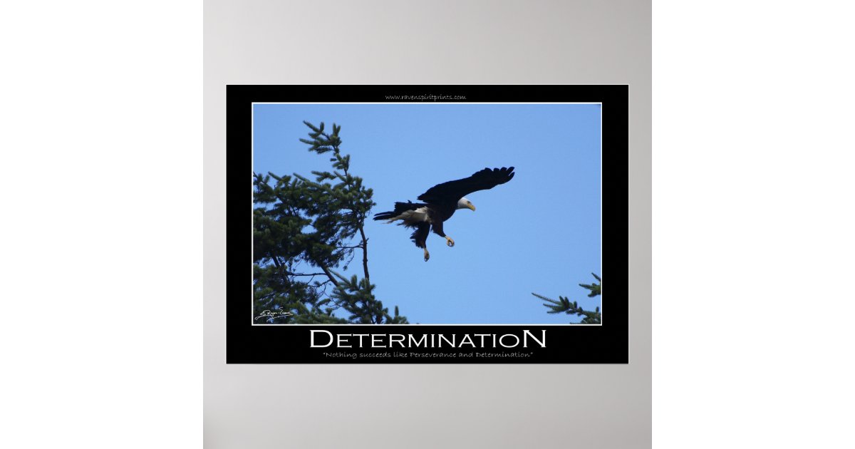 DETERMINATION ~ Motivational Poster | Zazzle
