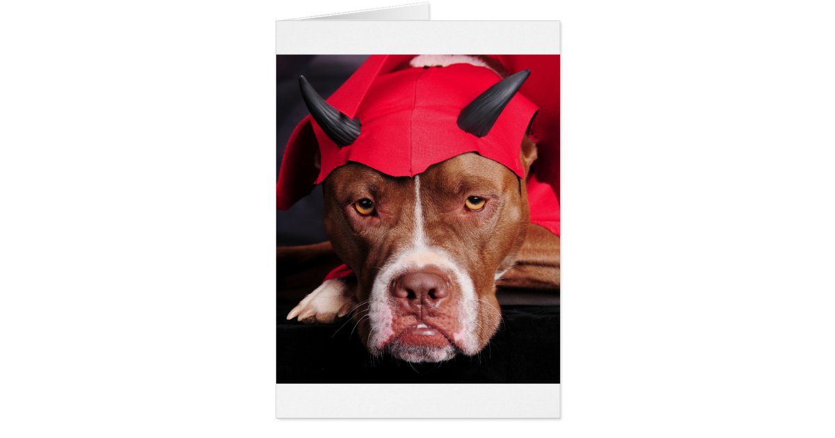Devil Pit | Zazzle