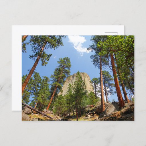 Devil's Tower, Devil's Tower National Monument, WY Postcard | Zazzle