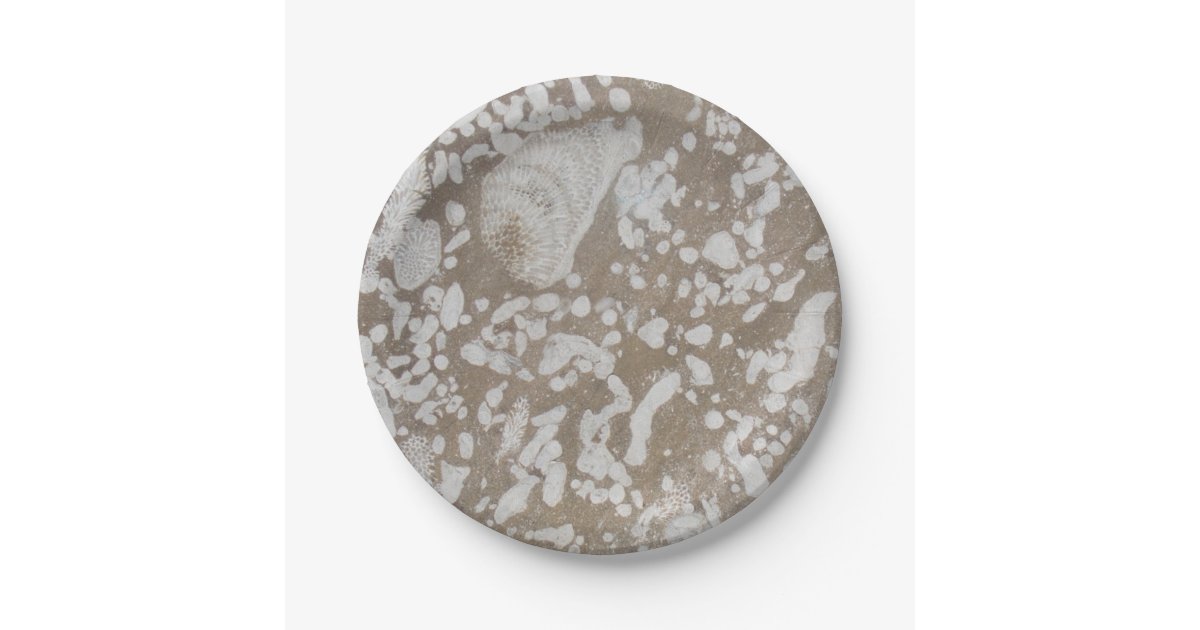 Devonian Fossil Paper Plates | Zazzle