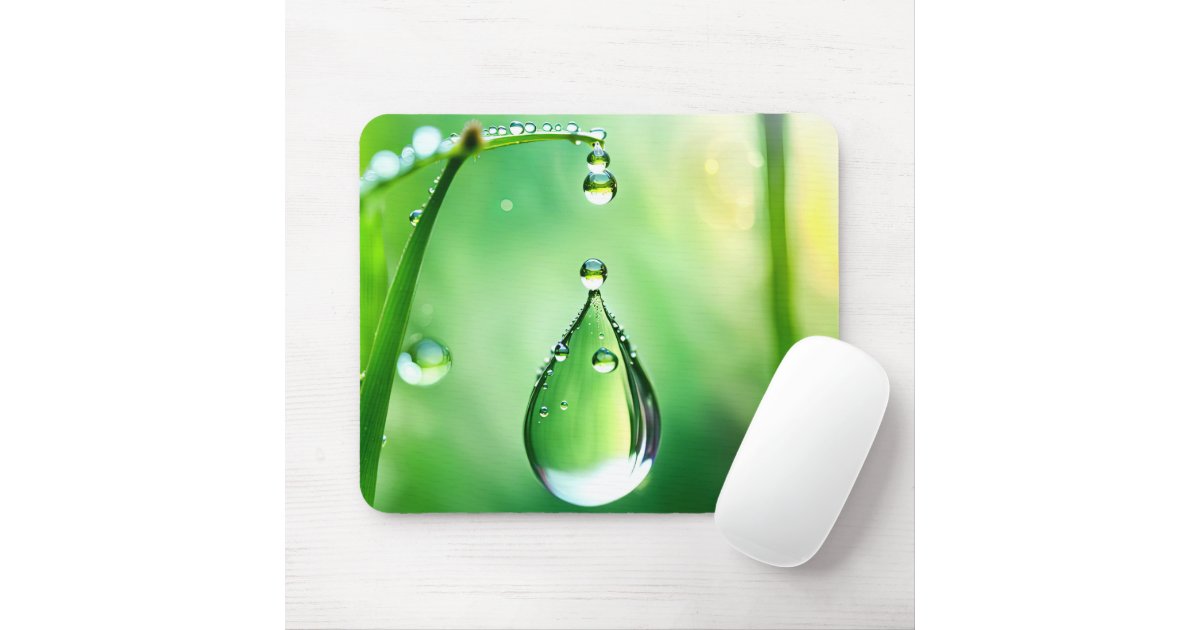 Dew Drop On Grass Mouse Pad | Zazzle