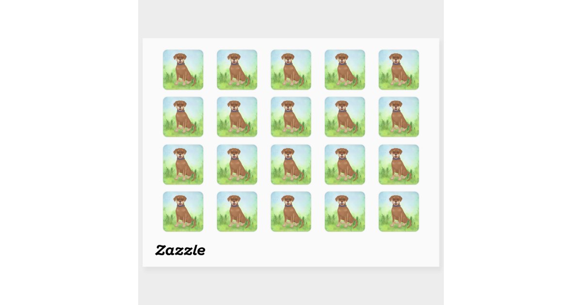 Dexter the Dog and Friends Chocolate Lab Mix Square Sticker | Zazzle