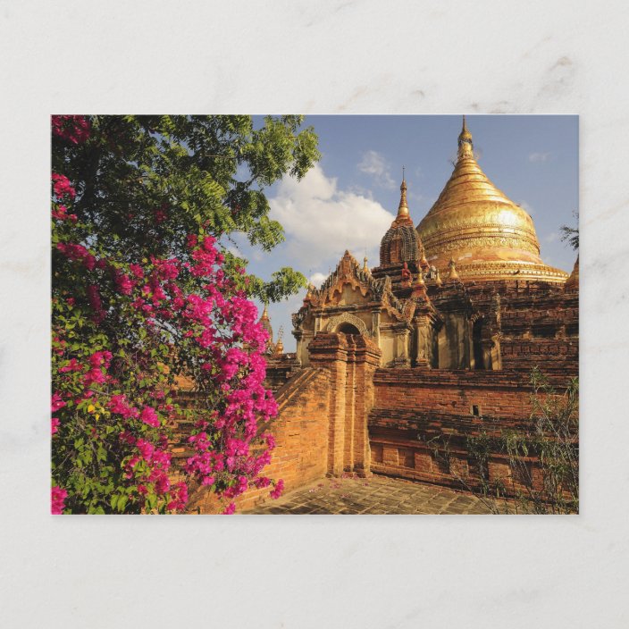 Dhamma Yazaka Pagoda at Bagan (Pagan), Myanmar Postcard | Zazzle.com