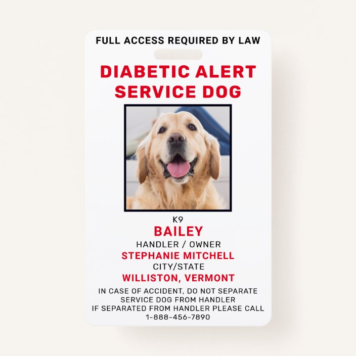 Diabetic Alert Service Dog Photo ID Badge | Zazzle.com