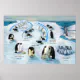 Diagram of a Life Cycle of the Emperor Penguin Poster | Zazzle