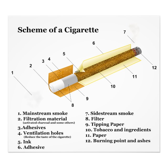 Diagram of a Tobacco Cigarette Smoking Photo Print | Zazzle.com