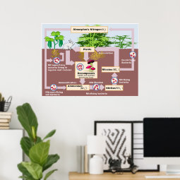 Diagram of Earth's Nitrogen Cycle Poster | Zazzle