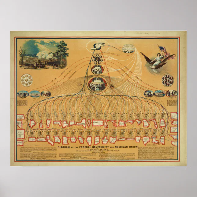 Diagram of the Federal Government & American Union Poster | Zazzle