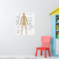 Diagram of the Human Body's Nervous System Poster | Zazzle