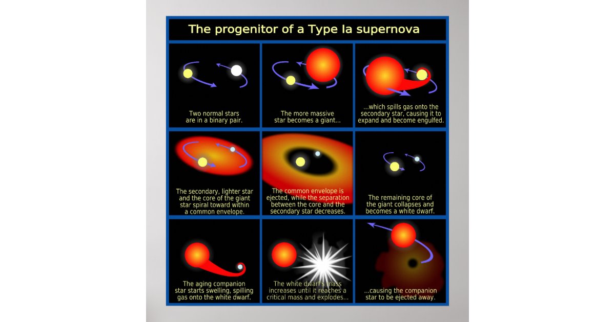 Diagram of The Progenitor of a Type Ia Supernova Poster | Zazzle