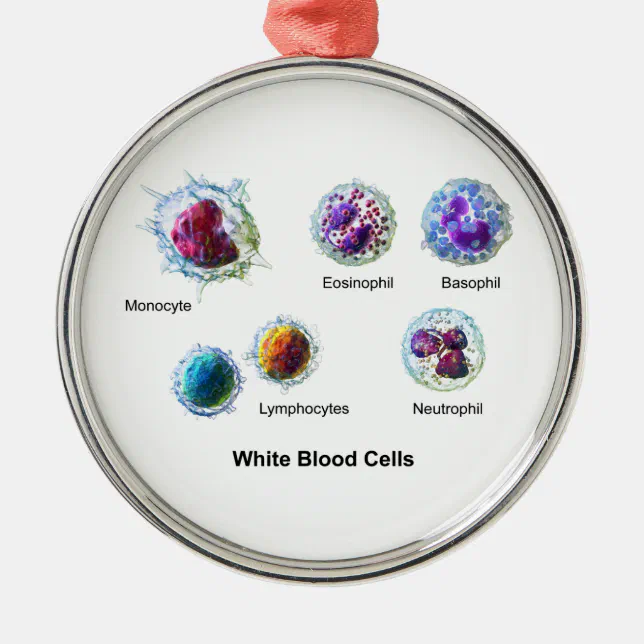 Diagram of White Blood Cells Leukocytes Metal Ornament | Zazzle
